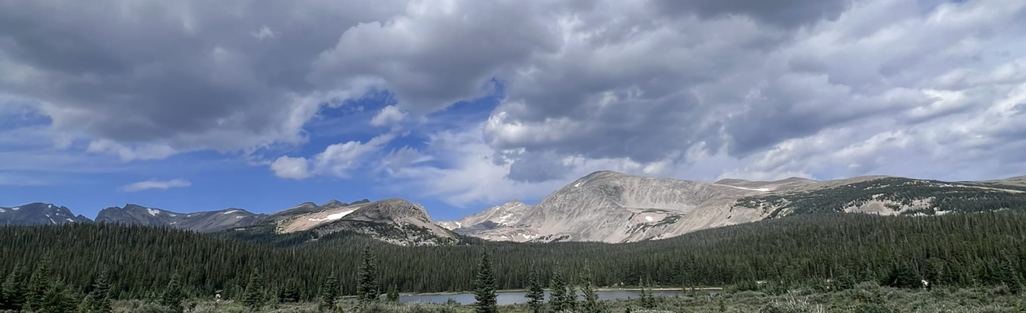 Niwot Ridge Trail, Colorado - 101 Reviews, Map | AllTrails