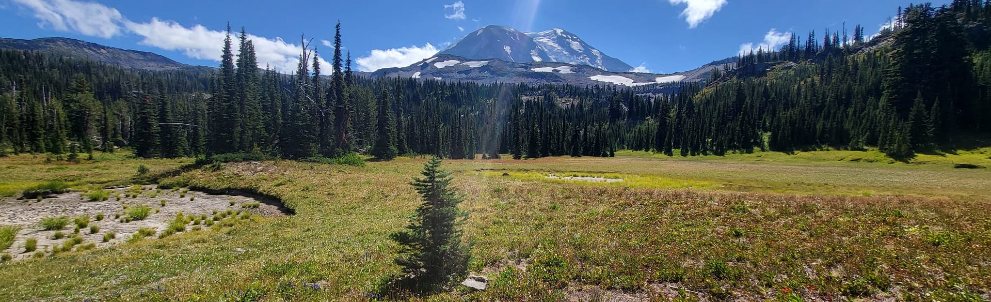 Mount Adams via Divide Camp Trail #112 and PCT: 240 foton – Washington ...