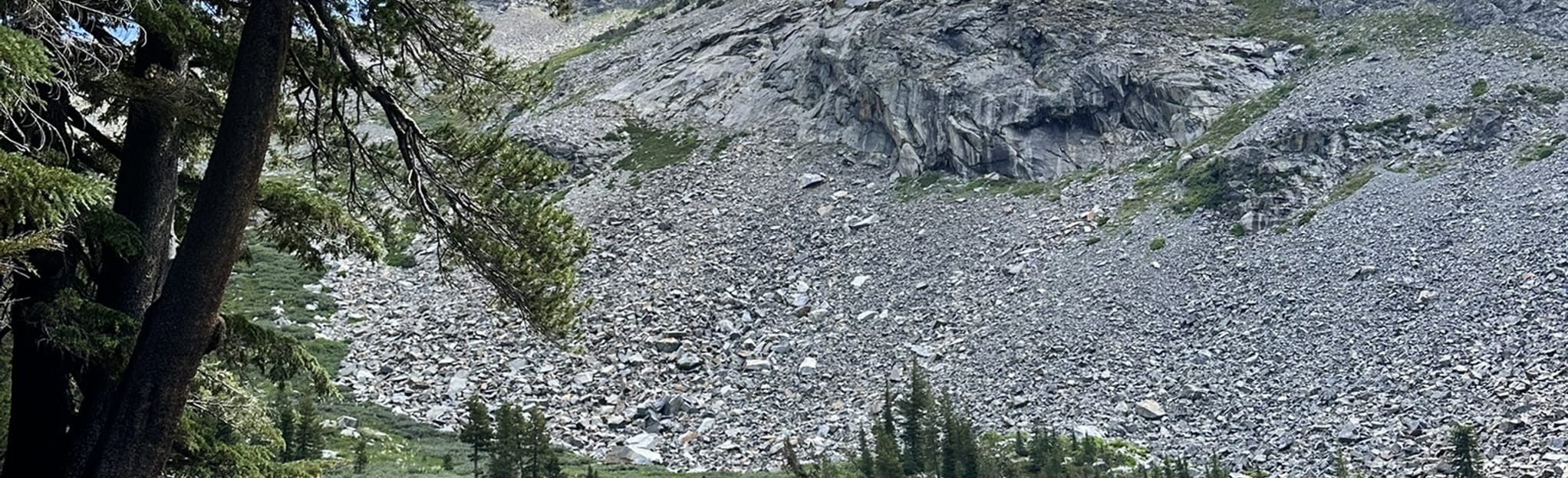 Lyons Lake and Lake Sylvia via Lyons Creek Trail: 565 Reviews, Map ...