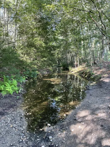 2023 Best Partially Paved Trails in Moosup | AllTrails 2023 Best Partially Paved Trails in Moosup | AllTrails
