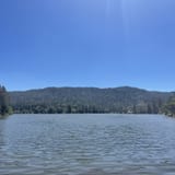 Lake Gregory Trail, California - 1,475 Reviews, Map | AllTrails