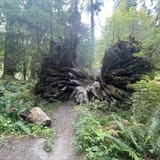 Enchanted Valley Chalet via East Fork Quinault River Trail, Washington ...