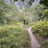 Enchanted Valley Chalet via East Fork Quinault River Trail, Washington ...