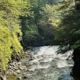 Enchanted Valley Chalet via East Fork Quinault River Trail, Washington ...