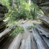 Enchanted Valley Chalet via East Fork Quinault River Trail, Washington ...