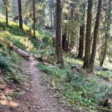 Enchanted Valley Chalet via East Fork Quinault River Trail, Washington ...