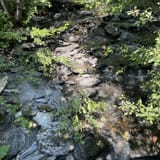 Enchanted Valley Chalet via East Fork Quinault River Trail, Washington ...