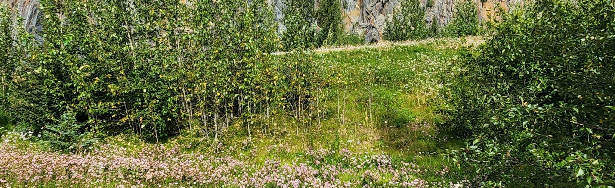 Bird to Gird Pathway: Bird Creek Campground to Bird Point: 66 foto ...