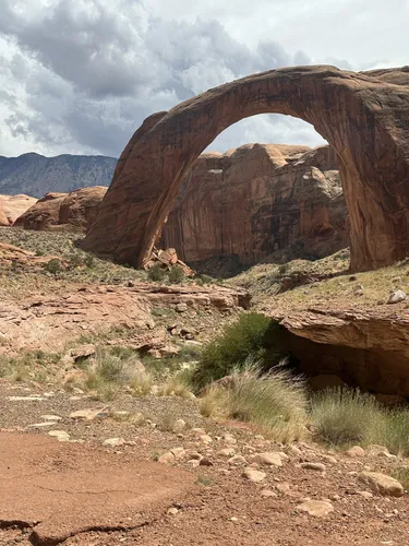 Best Hikes and Trails in Rainbow Bridge National Monument | AllTrails