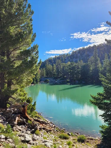 10 Best Hikes and Trails in Great Basin National Park | AllTrails