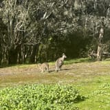 Westerfolds Park Circuit, Victoria, Australia - 373 Reviews, Map ...