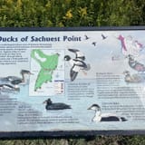Sachuest Point National Wildlife Refuge Trail, Rhode Island - 1,535 ...