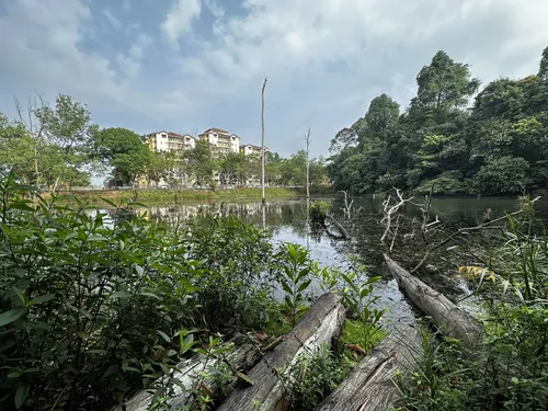 Best 10 Hikes and Trails in Kota Damansara Community Forest Reserve ...