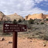 Rim Overlook Trail, Utah - 844 Reviews, Map | AllTrails