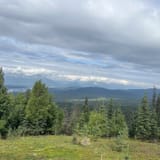 Curry Ridge Trail, Alaska - 756 Reviews, Map | AllTrails