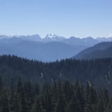 Johnson Ridge Trail, Washington - 278 Reviews, Map | AllTrails
