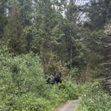 String Lake Trail to Leigh Lake Trailhead, Wyoming - 250 Reviews, Map ...