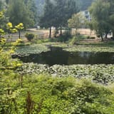 Lake Fenwick, Washington - 666 Reviews, Map | AllTrails