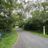 Ironton Rail Trail, Pennsylvania - 1,234 Reviews, Map | AllTrails