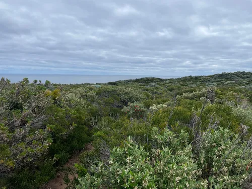 2023 Best Historic Site Trails in Leeuwin-Naturaliste National Park ...