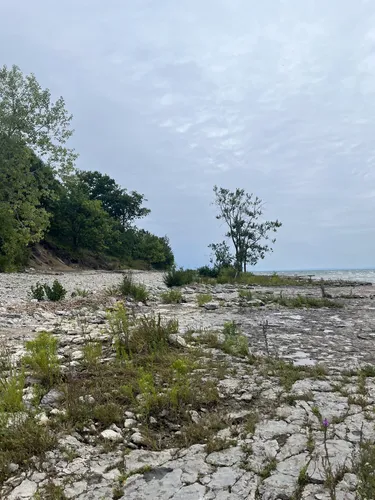 Best Hikes and Trails in Morgan's Point Conservation Area | AllTrails