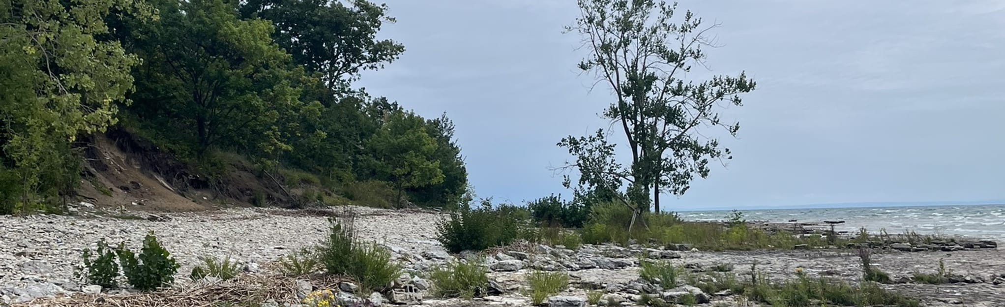 Oak Savannah Trail via Lake Shore Trail, Ontario, Canada - 11 Reviews ...