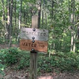 Appalachian Approach Trail to Springer Mountain, Georgia - 1,035 ...