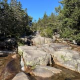 Zealand Bonds Traverse, New Hampshire - 665 Reviews, Map | AllTrails