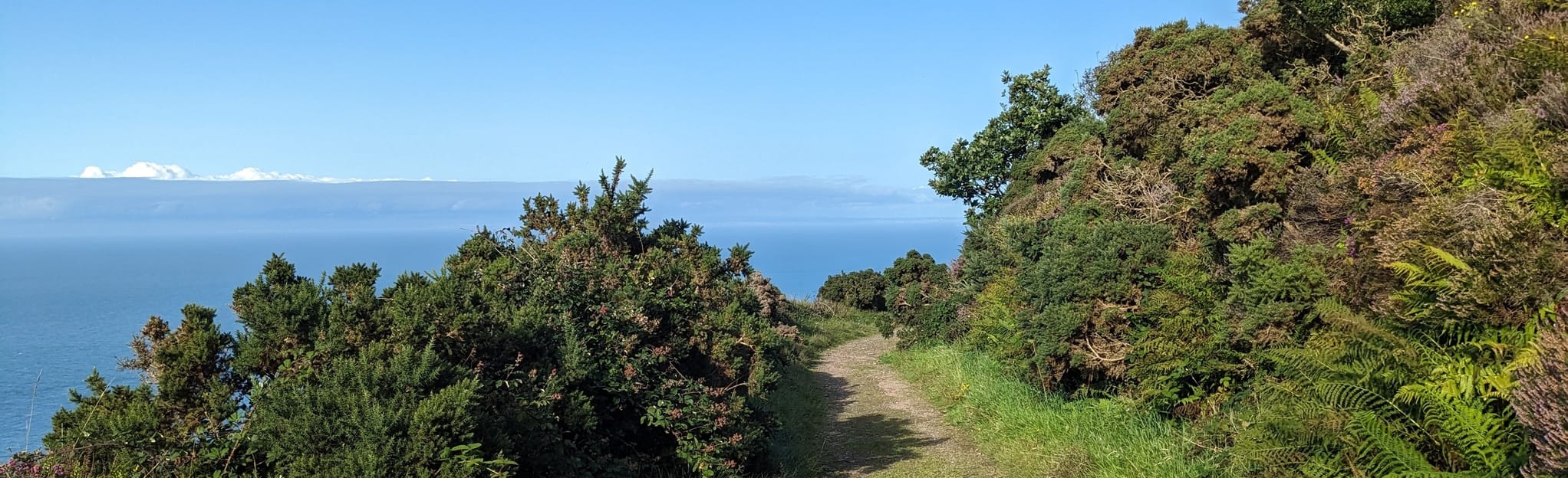 Heddon Valley and Woody Bay Circular: 123 Reviews, Map - Devon, England ...
