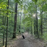 Hudson Pointe Nature Preserve, New York - 685 Reviews, Map | AllTrails