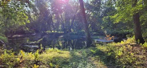 Best Hikes and Trails in McCabe Forest | AllTrails