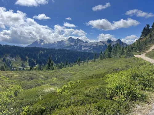 Best Camping Trails in Paradise | AllTrails