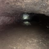 Dames Cave, Florida - 567 Reviews, Map | AllTrails