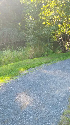 Best Hikes and Trails in Lake Winfield Recreation Area | AllTrails