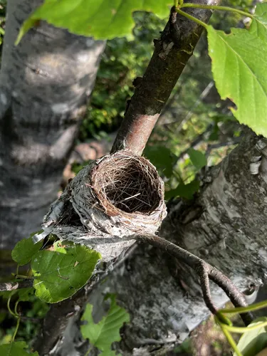 Best Hikes and Trails in Kettle Lakes Provincial Park | AllTrails