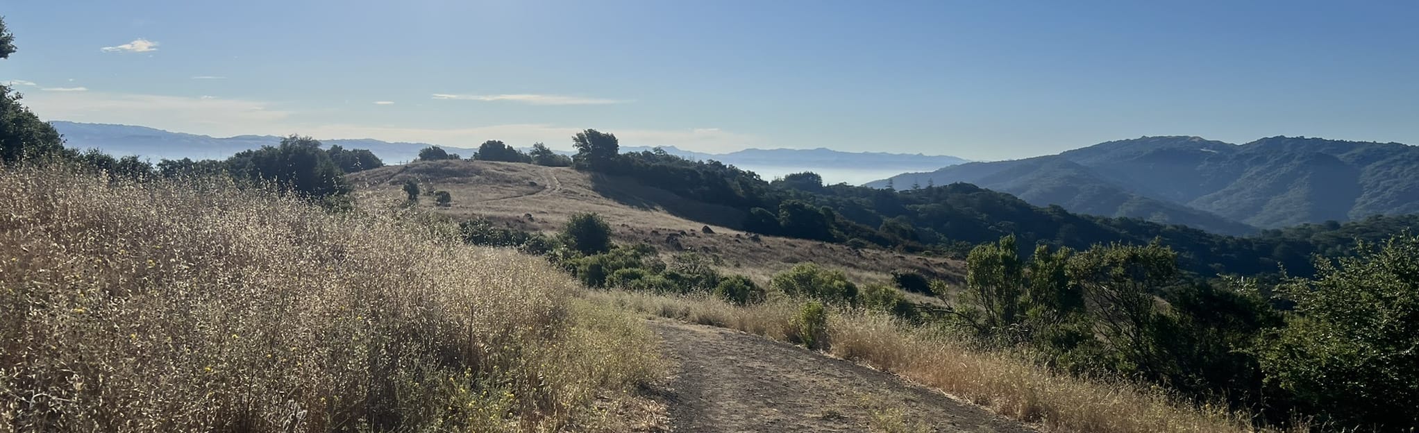 Merry-Go-Round, Bayview, and Sprig Trails Loop, California - 134 ...