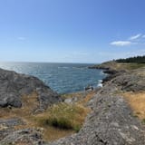 Iceberg Point Trail, Washington - 352 Reviews, Map | AllTrails