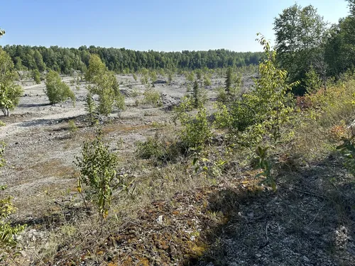 Best Hikes and Trails in Fiborn Karst Preserve | AllTrails