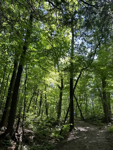 Best Hikes and Trails in Red Rocks Park | AllTrails