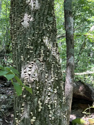 Best Hikes and Trails in Red Rocks Park | AllTrails