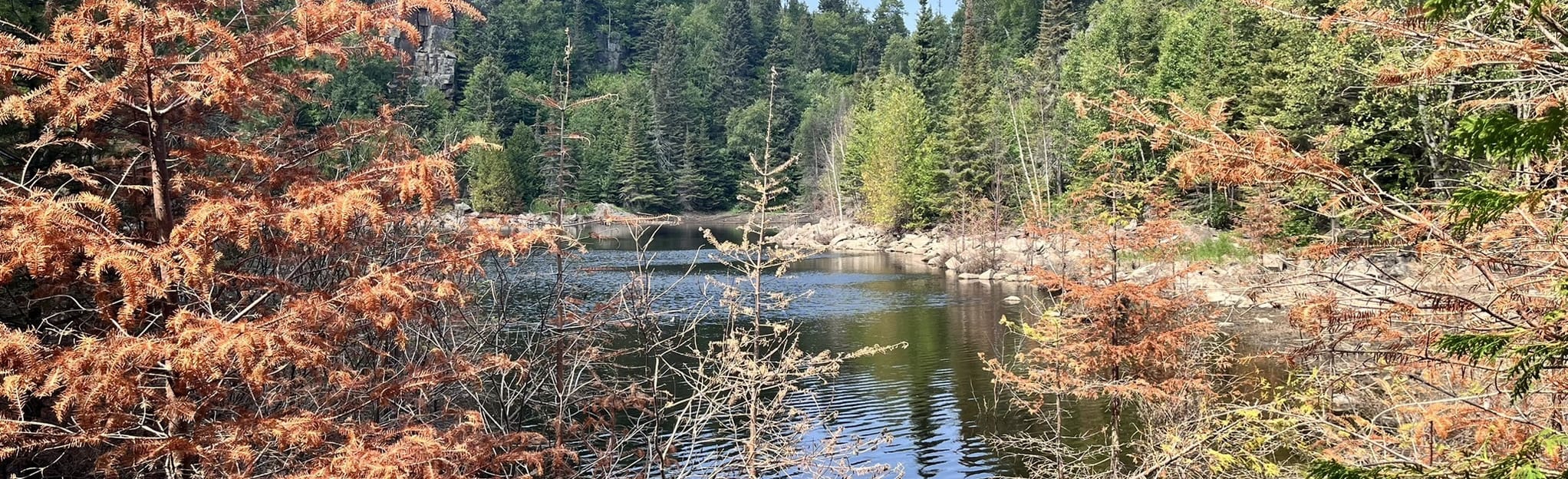 Talus Lake Trail: 70 foto's - Ontario, Canada | Wandelen - AllTrails