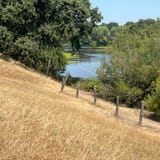 The Meadows Slough Trail, California - 435 Reviews, Map | AllTrails