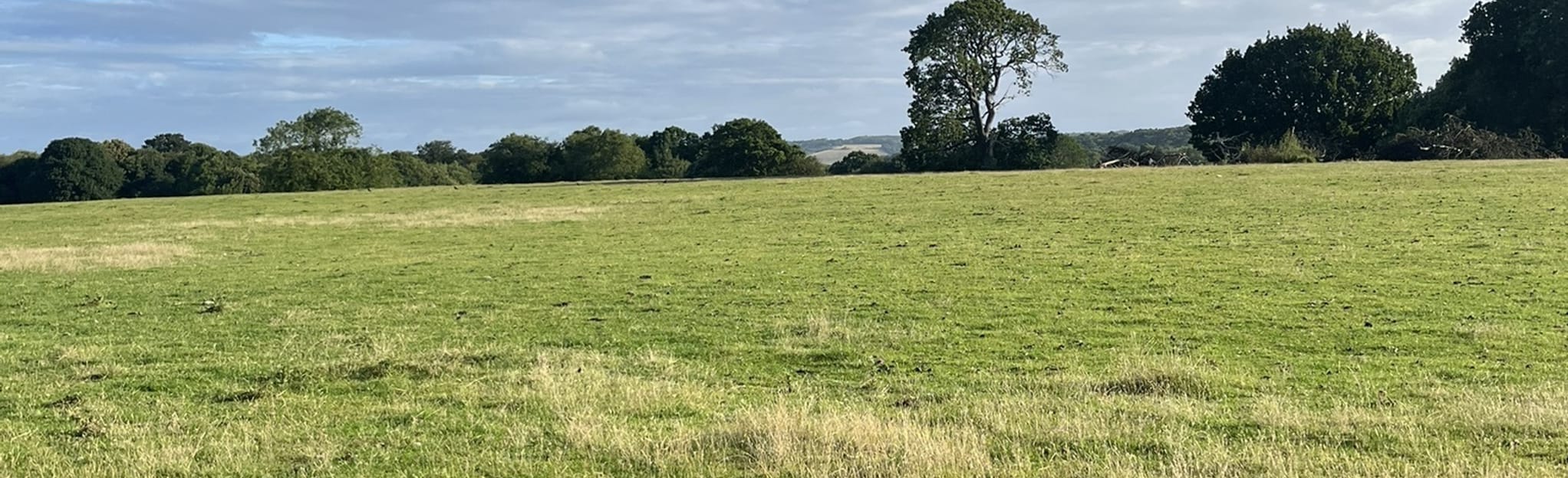 Godden Green and Bitchet Green Circular, Kent, England - 61 Reviews ...