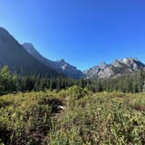 Lake Stuart Trail, Washington - 690 Reviews, Map | AllTrails