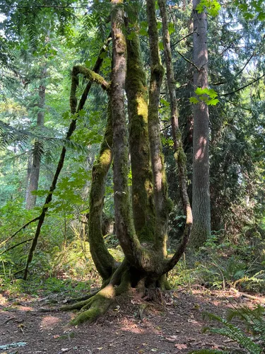 2023 Best Historic Site Trails in Mukilteo | AllTrails