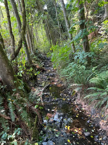 2023 Best Historic Site Trails in Mukilteo | AllTrails