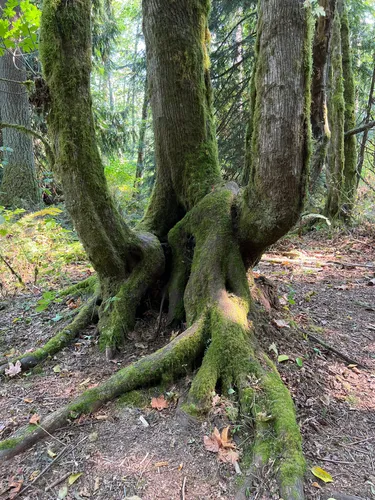 2023 Best Historic Site Trails in Mukilteo | AllTrails