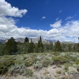 June Lake Loop Trail, California - 394 Reviews, Map | AllTrails