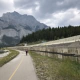Banff Legacy Trail, Alberta, Canada - 1,371 Reviews, Map | AllTrails