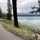 Lake Annette Loop, Alberta, Canada - 839 Reviews, Map | AllTrails